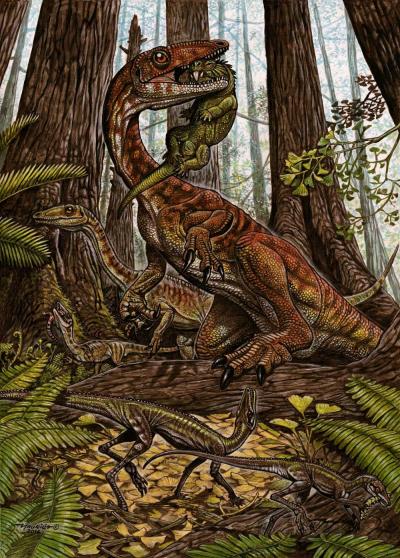 Buriolestes schultzi an [IMAGE] | EurekAlert! Science News Releases