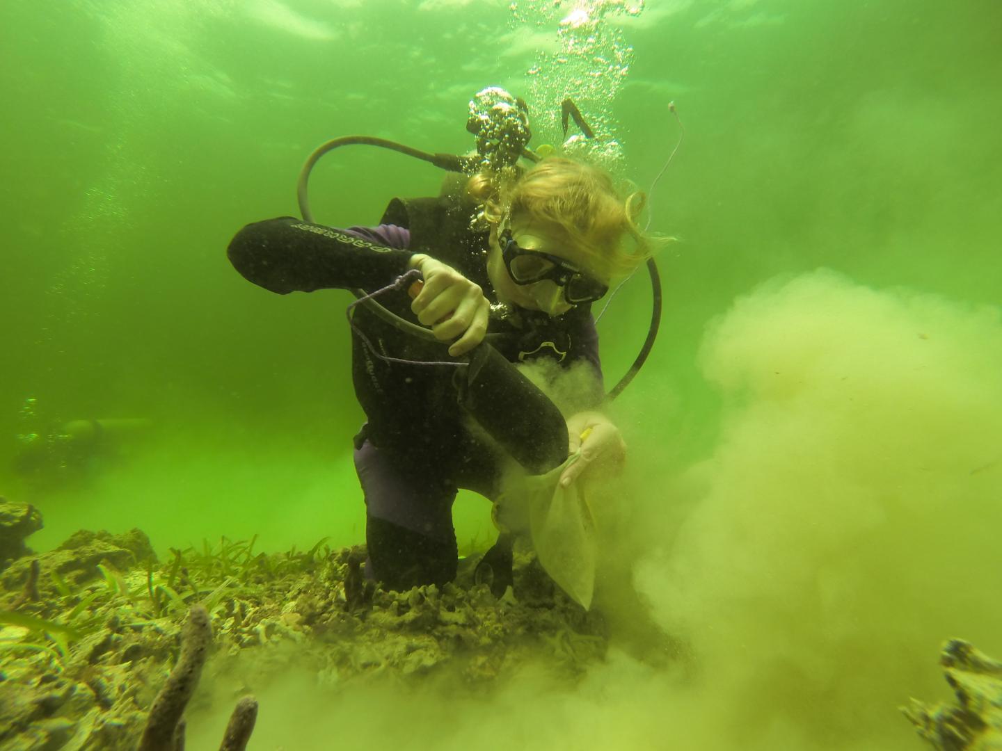 1_bulk_sampling.jpg [IMAGE] | EurekAlert! Science News Releases