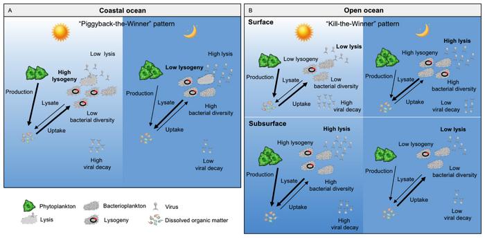 Figure 3 Schematic overview de [IMAGE] | EurekAlert! Science News Releases