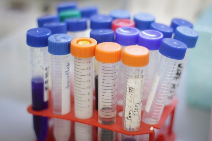 First pilot production of genetic medications | EurekAlert!