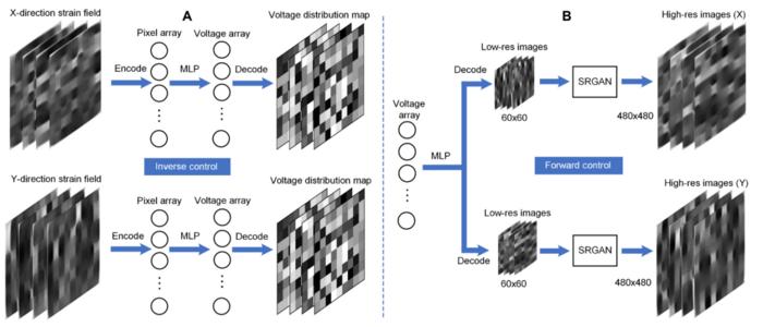 Deep learning for strain field customization | EurekAlert!