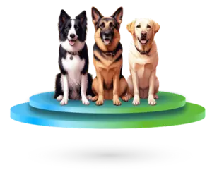 New research shows AI dog personality algorit | EurekAlert!