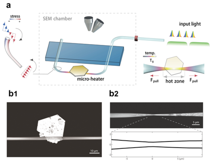 Proposed fibre tapering using [IMAGE] | EurekAlert! Science News Releases