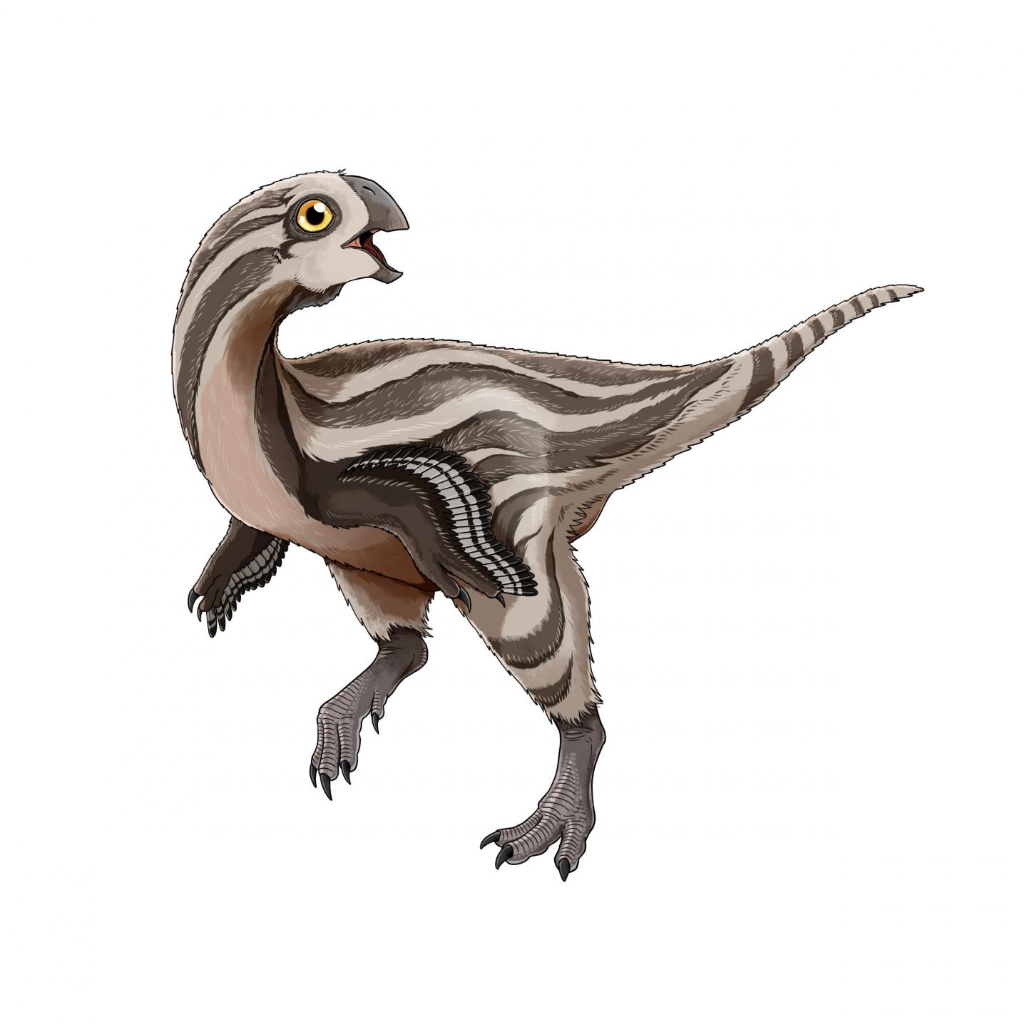 New oviraptorosaur species discovered in Mong | EurekAlert!