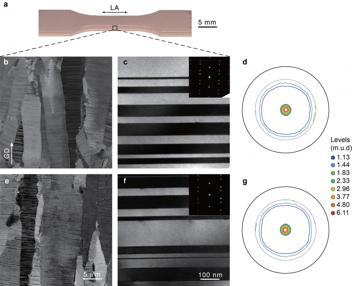 Fatigue Resistance [IMAGE] | EurekAlert! Science News Releases