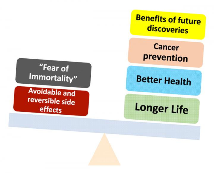 Risk vs Benefits [IMAGE] | EurekAlert! Science News Releases