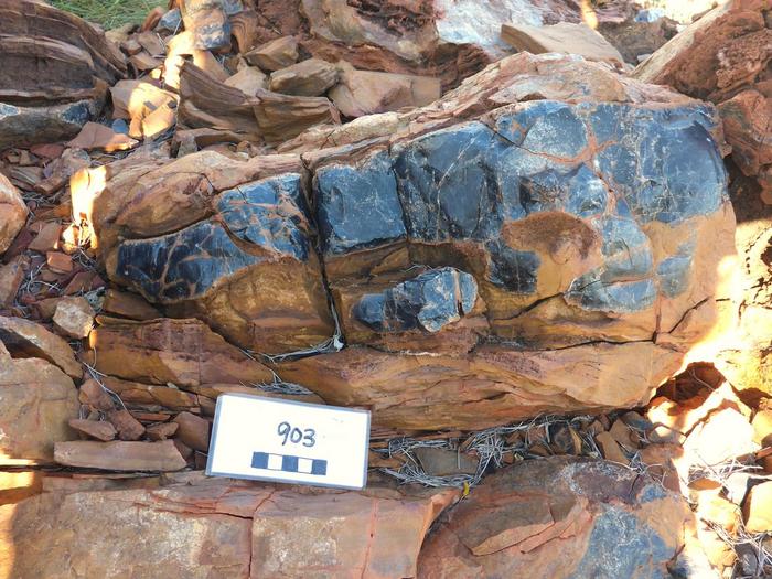 microfossils [IMAGE] | EurekAlert! Science News Releases