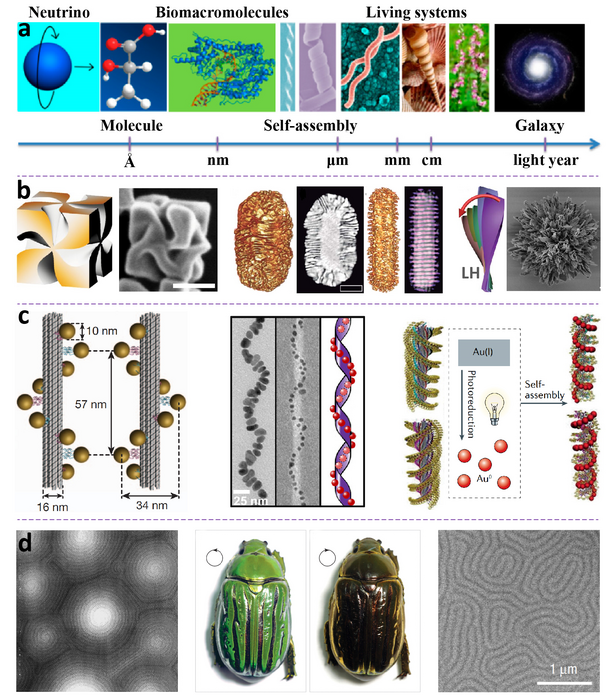 Liquid crystal templated chiral nanomaterials | EurekAlert!