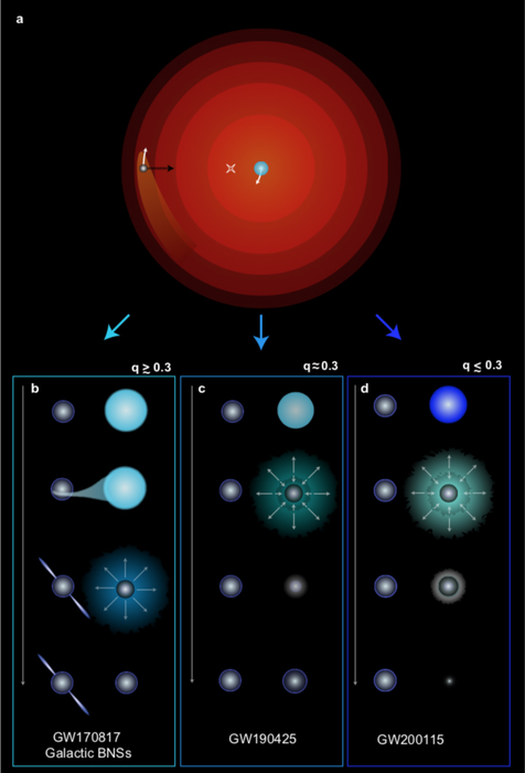 Binary Neutron Star Formation [image] Eurekalert Science News Releases