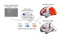 How the brain is programmed for computer prog | EurekAlert!
