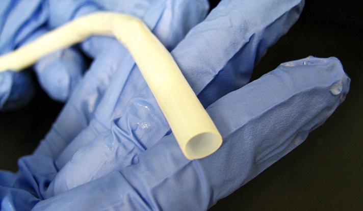 Bioengineered Blood Vessel [IMAGE] | EurekAlert! Science News Releases