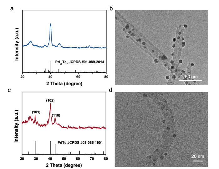 Morphology and characterizatio [IMAGE] | EurekAlert! Science News Releases