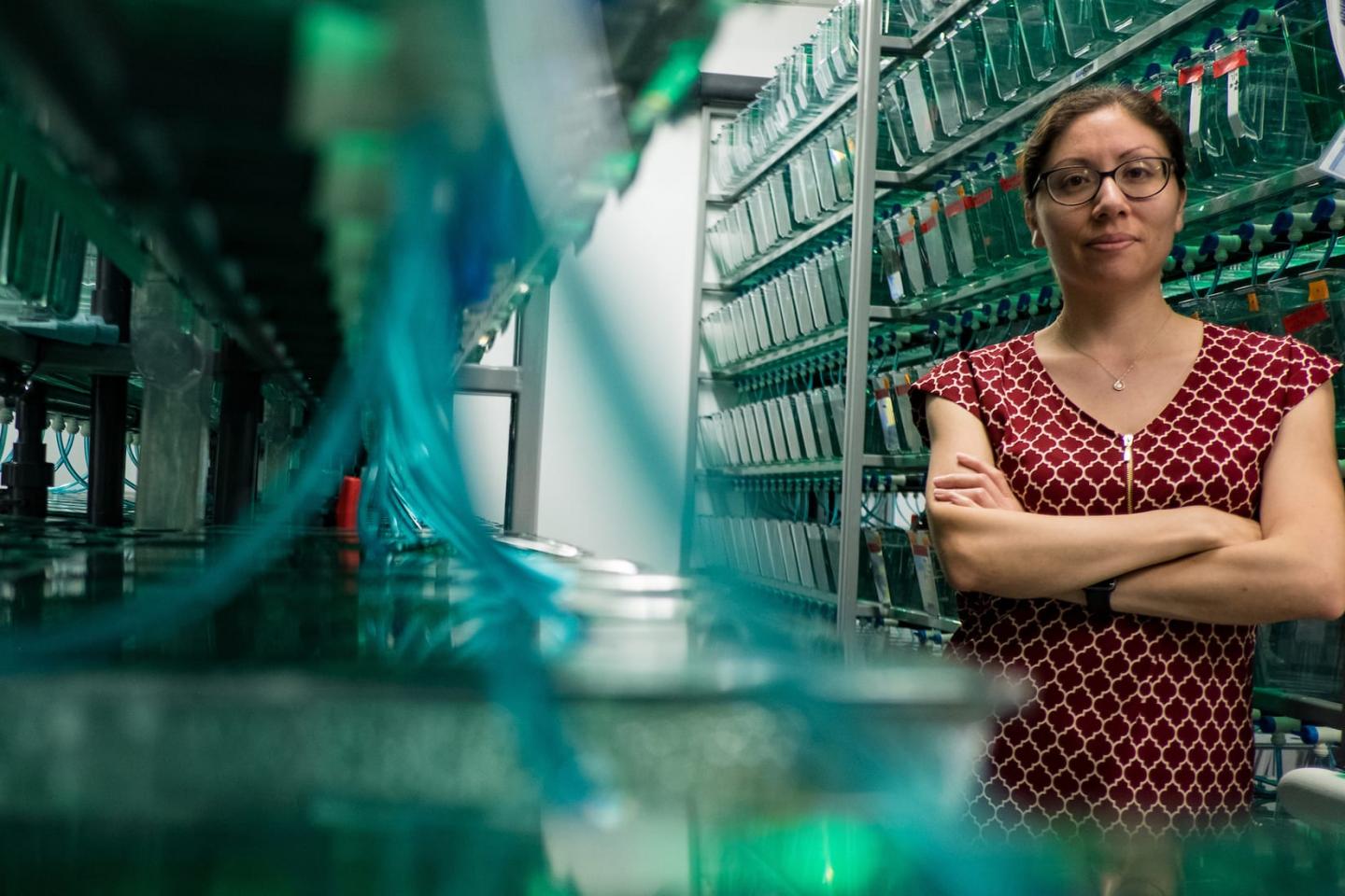 Rose Uribe [IMAGE] | EurekAlert! Science News Releases