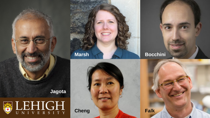 Lehigh PIPP grant research tea [IMAGE] | EurekAlert! Science News Releases