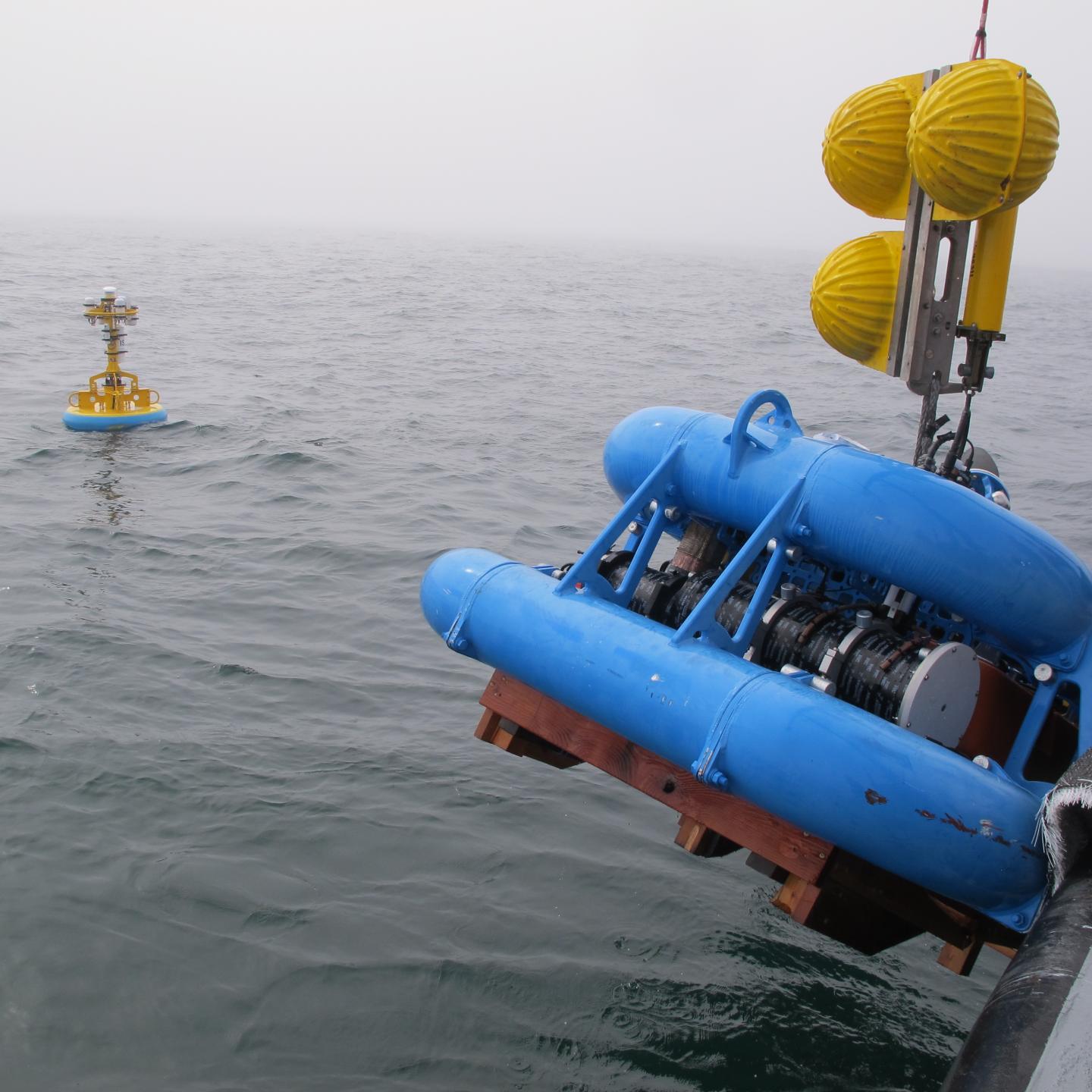 Inshore Surface Mooring [IMAGE] | EurekAlert! Science News Releases