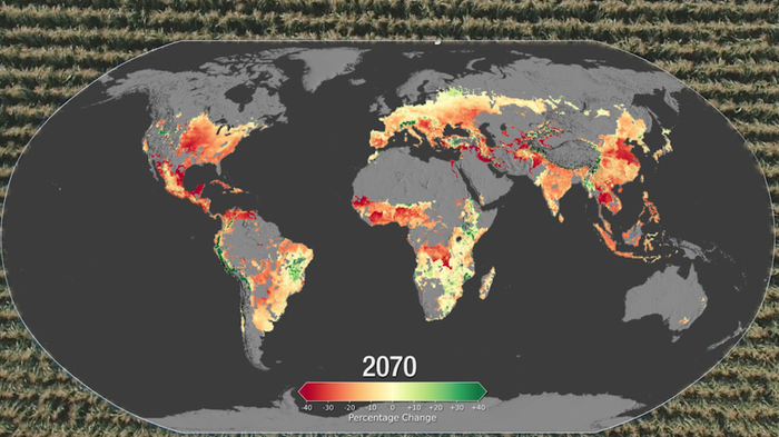 Global climate change impact on crops expecte | EurekAlert!