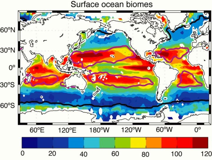 Light Levels Shown as Colored [IMAGE] | EurekAlert! Science News Releases