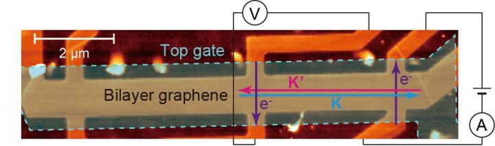 An Image of the Experimental V [IMAGE] | EurekAlert! Science News Releases