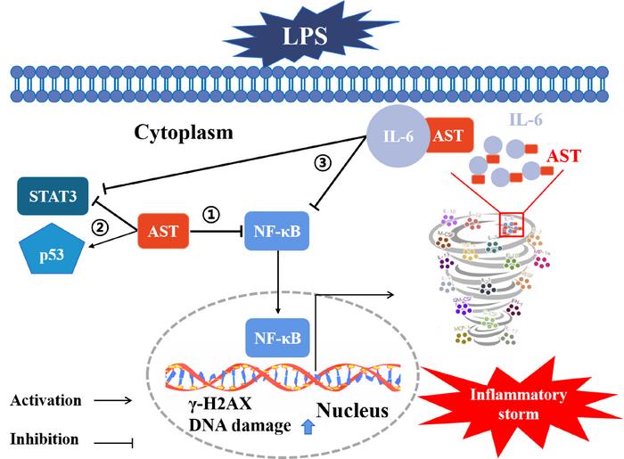 New Study Uncovers Astaxanthin [IMAGE] | EurekAlert! Science News Releases