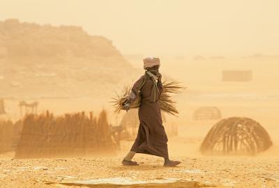 Dust 1 [IMAGE] | EurekAlert! Science News Releases