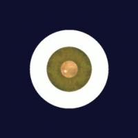 Cholesterol-lowering eye drops could treat ma | EurekAlert!