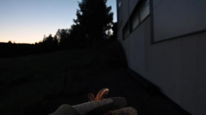 How bats survive Norwegian winter nights | EurekAlert!