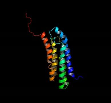 With a Little Help from a Ligand (2 of 2) | EurekAlert!