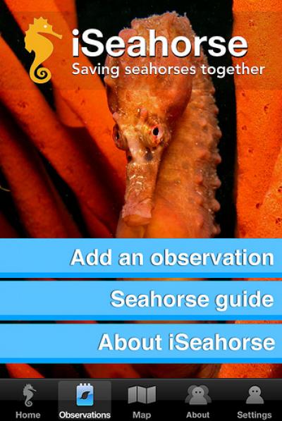 Crowdsourcing seahorses: New smartphone app o | EurekAlert!