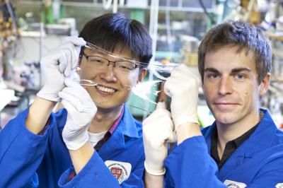 Ionic Conductors Can Be Transp [IMAGE] | EurekAlert! Science News Releases