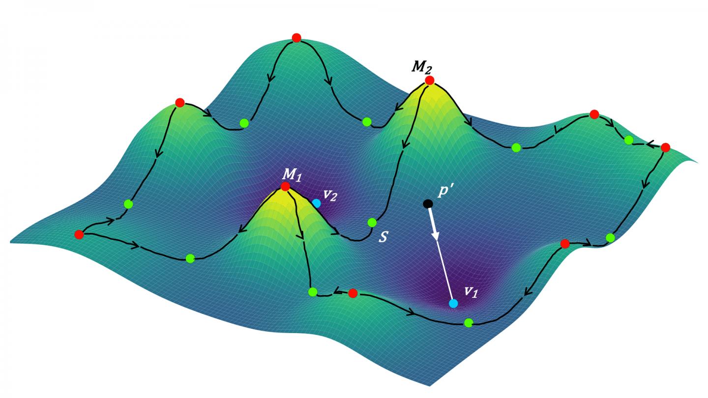 Neuronal Topological Map [IMAGE] | EurekAlert! Science News Releases
