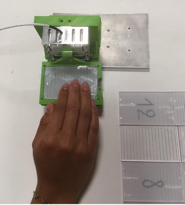 Spatial exploration [IMAGE] | EurekAlert! Science News Releases