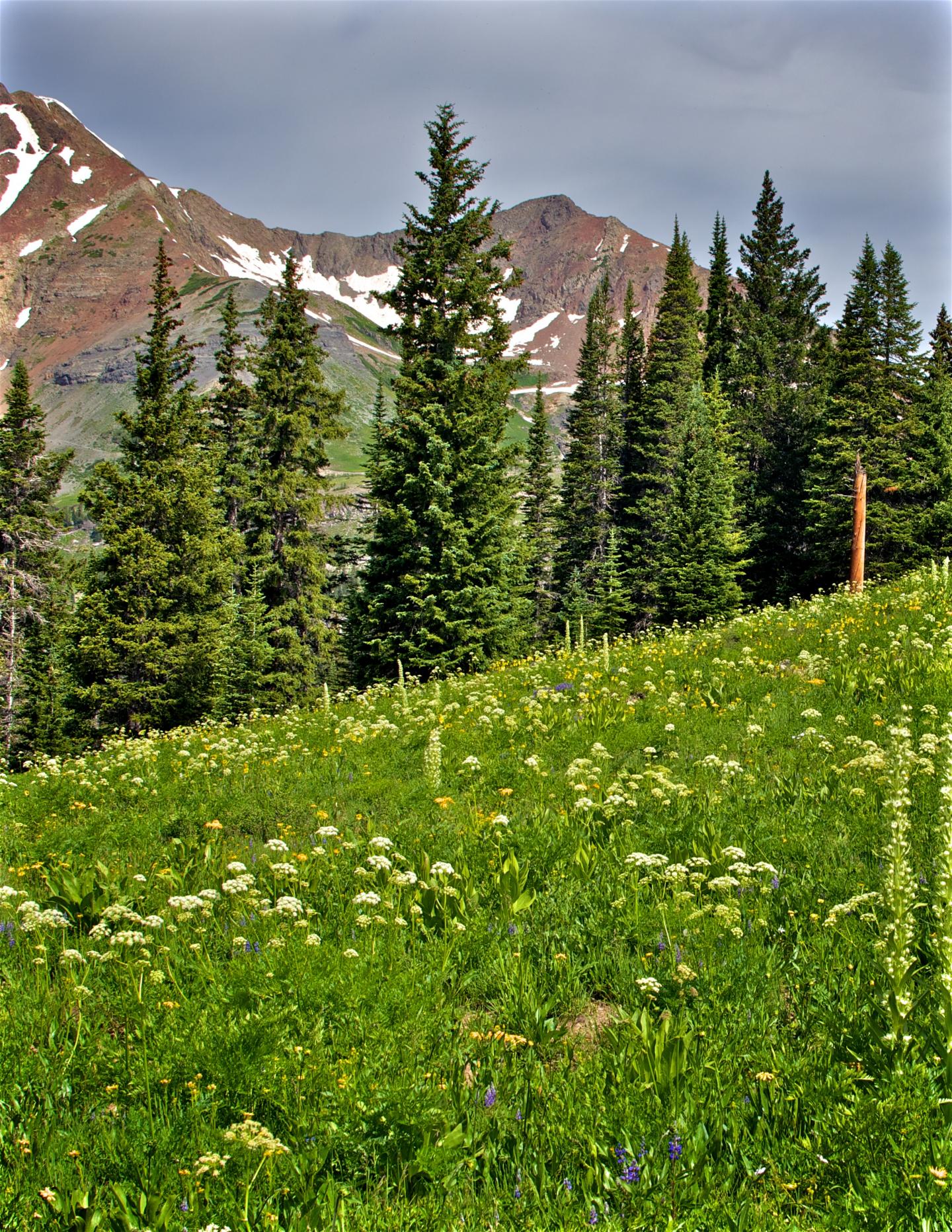 Study: How climate change threatens mountaint | EurekAlert!