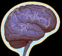 Hyperactive Brain [IMAGE] | EurekAlert! Science News Releases
