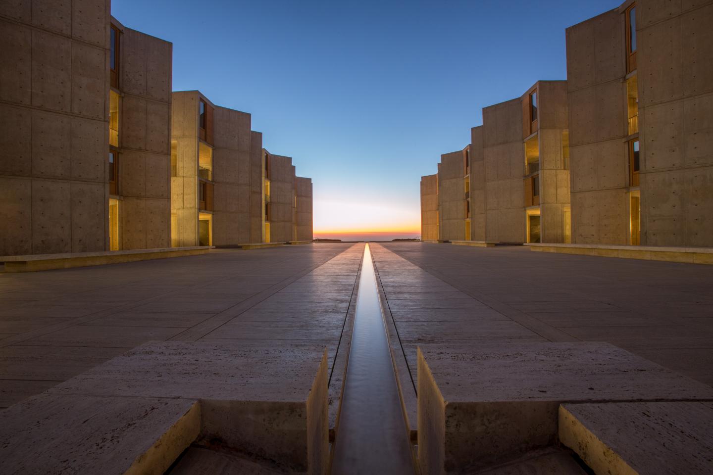 Salk scientists awarded $14.3 million to map | EurekAlert!