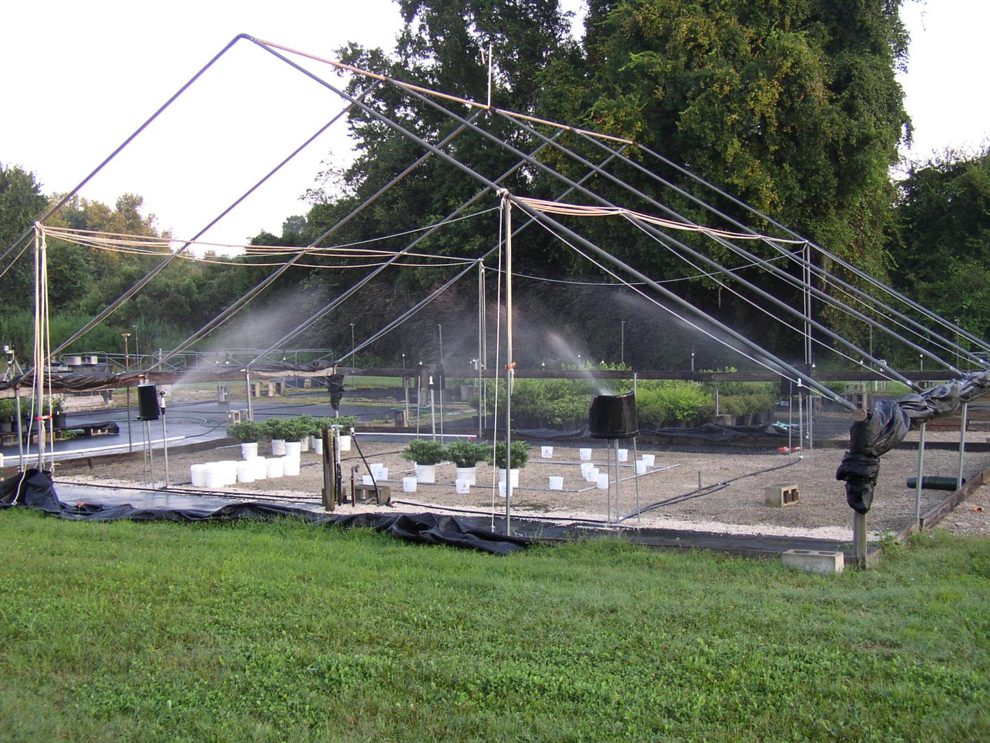 How container-grown plants capture sprinkler | EurekAlert!