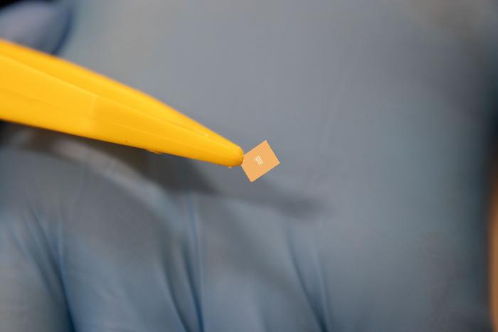 Metasurface microspectrometer [IMAGE] | EurekAlert! Science News Releases