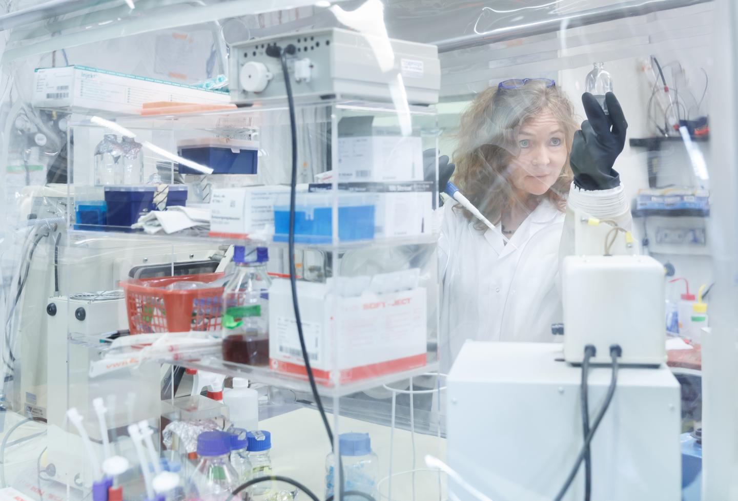 Christa Schleper in the Lab [IMAGE] | EurekAlert! Science News Releases