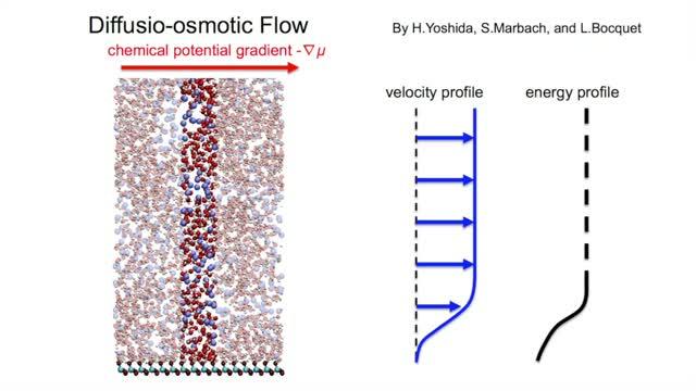 Deconstructing osmosis provides insight for m | EurekAlert!