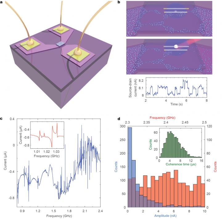 Schematic Representation of th [IMAGE] | EurekAlert! Science News Releases