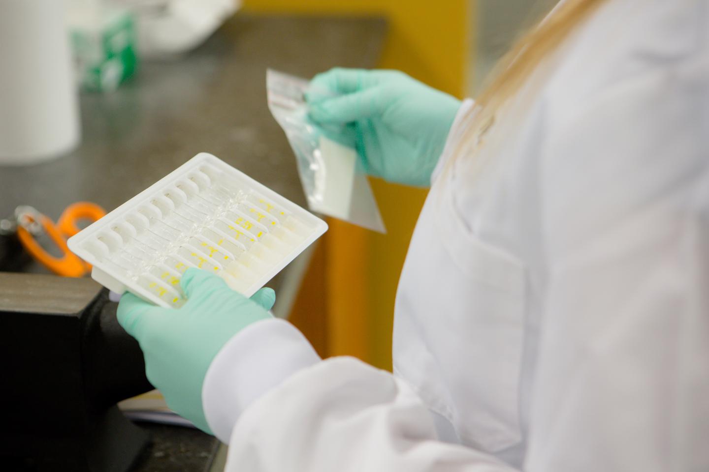 Cathinone color test is now on the market | EurekAlert!