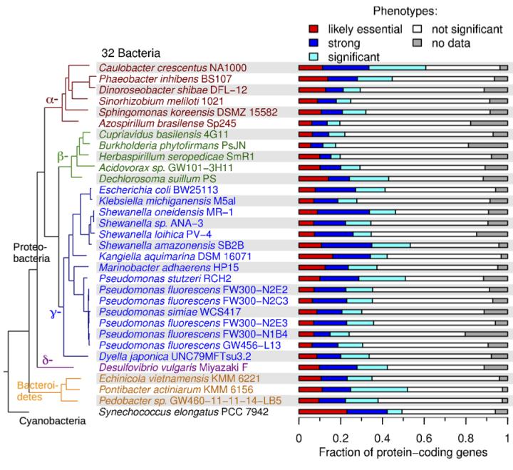 Gene Function Prediction [IMAGE] | EurekAlert! Science News Releases