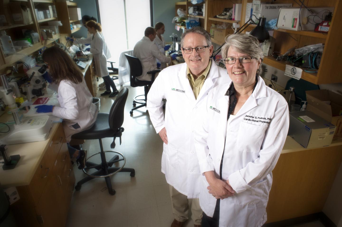 Jennifer and David Pollock [IMAGE] | EurekAlert! Science News Releases