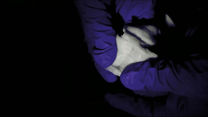 Peeling [IMAGE] | EurekAlert! Science News Releases