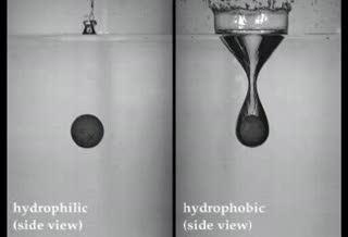 Dynamics of Water Entry | EurekAlert!