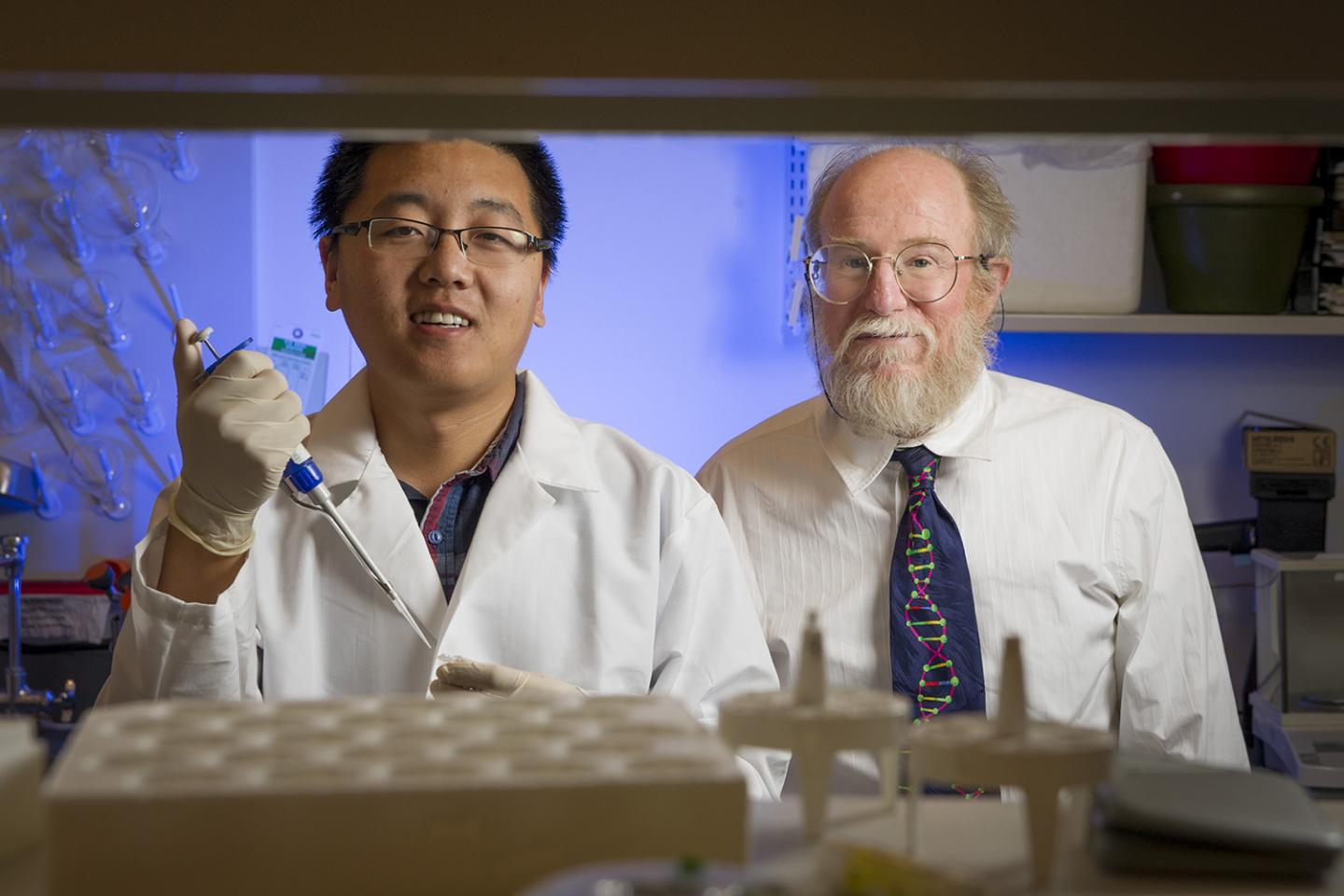 Tianqi Song and John Reif, Duk [IMAGE] | EurekAlert! Science News Releases
