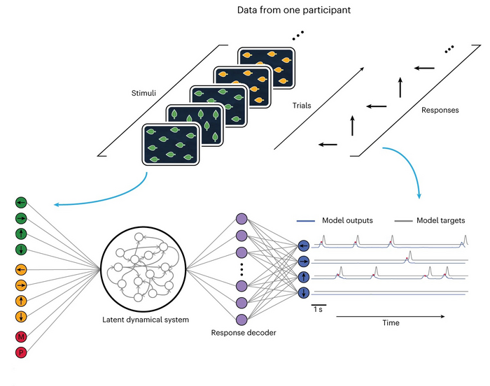 Task-switching DyVA framework [IMAGE] | EurekAlert! Science News Releases