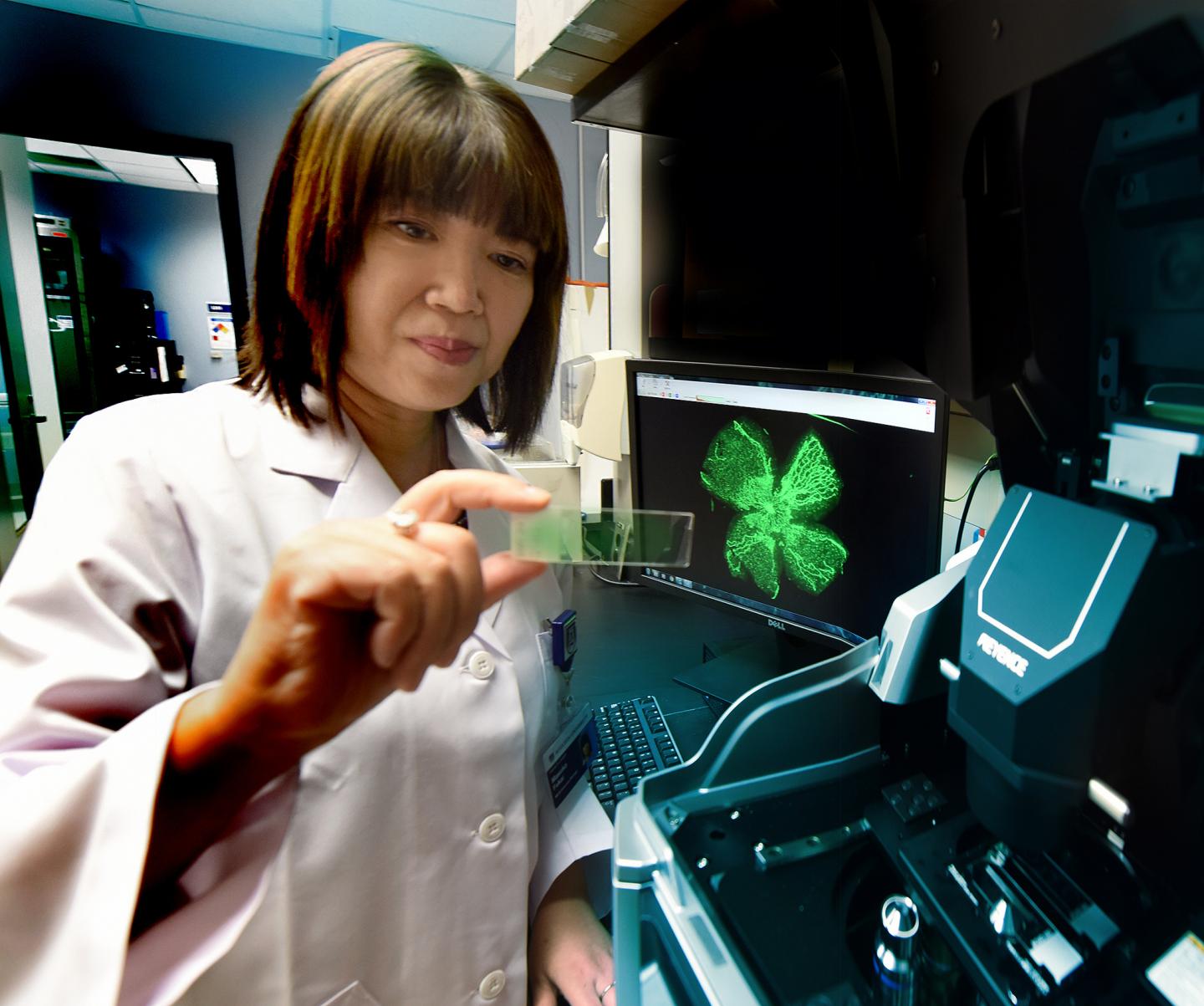 Masuko Ushio-Fukai, Augusta Un [IMAGE] | EurekAlert! Science News Releases