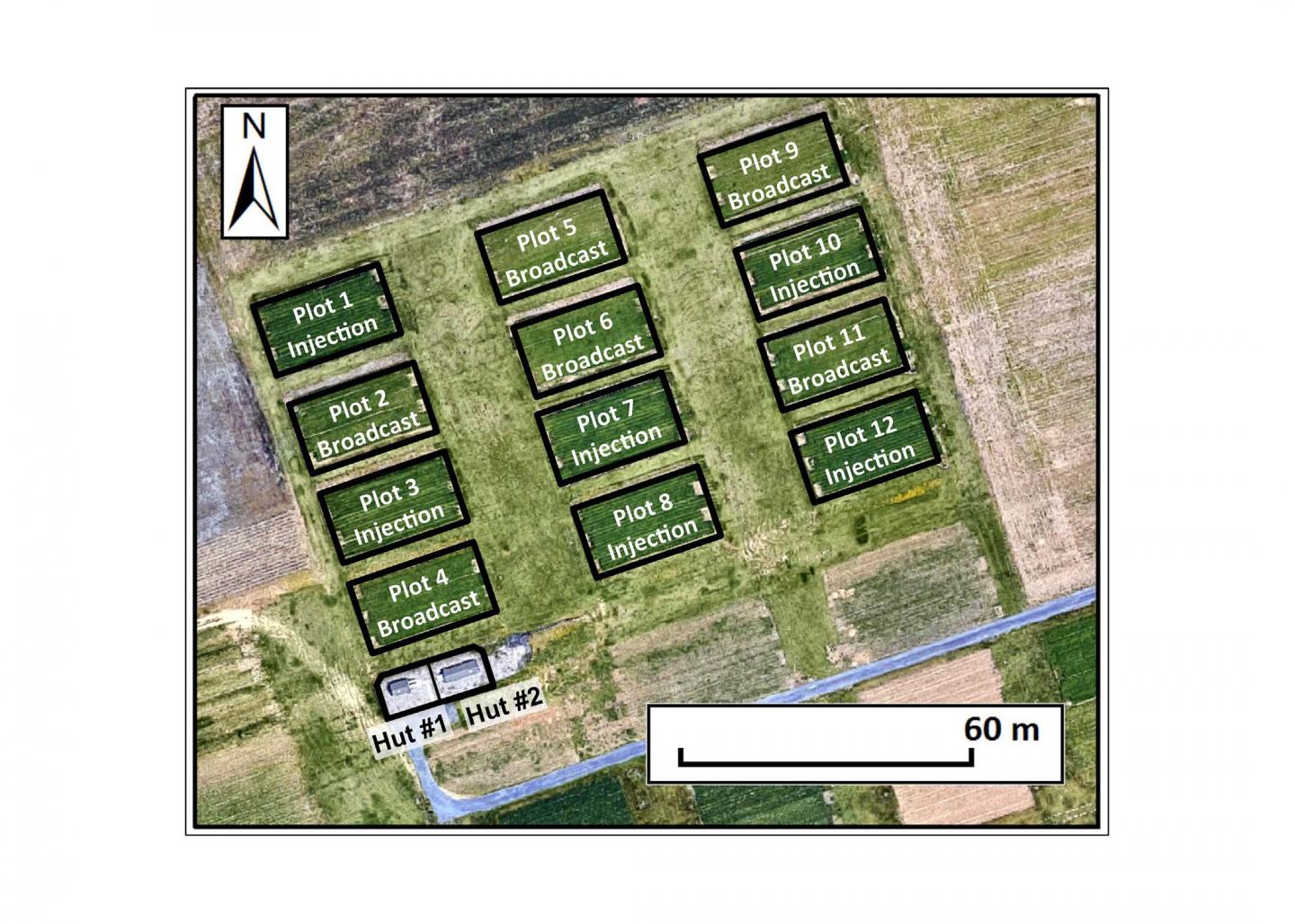 Experimental Plots [IMAGE] | EurekAlert! Science News Releases