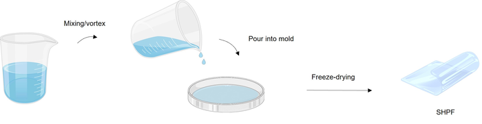 Film process [IMAGE] | EurekAlert! Science News Releases
