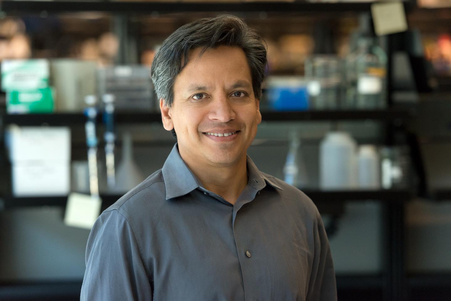 Deepak Srivastava, MD - Direct [IMAGE] | EurekAlert! Science News Releases